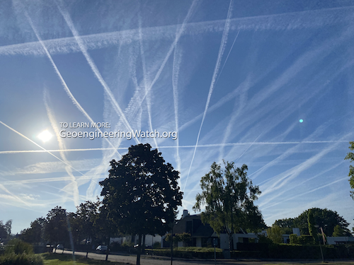 Videos » Videos | Geoengineering Watch